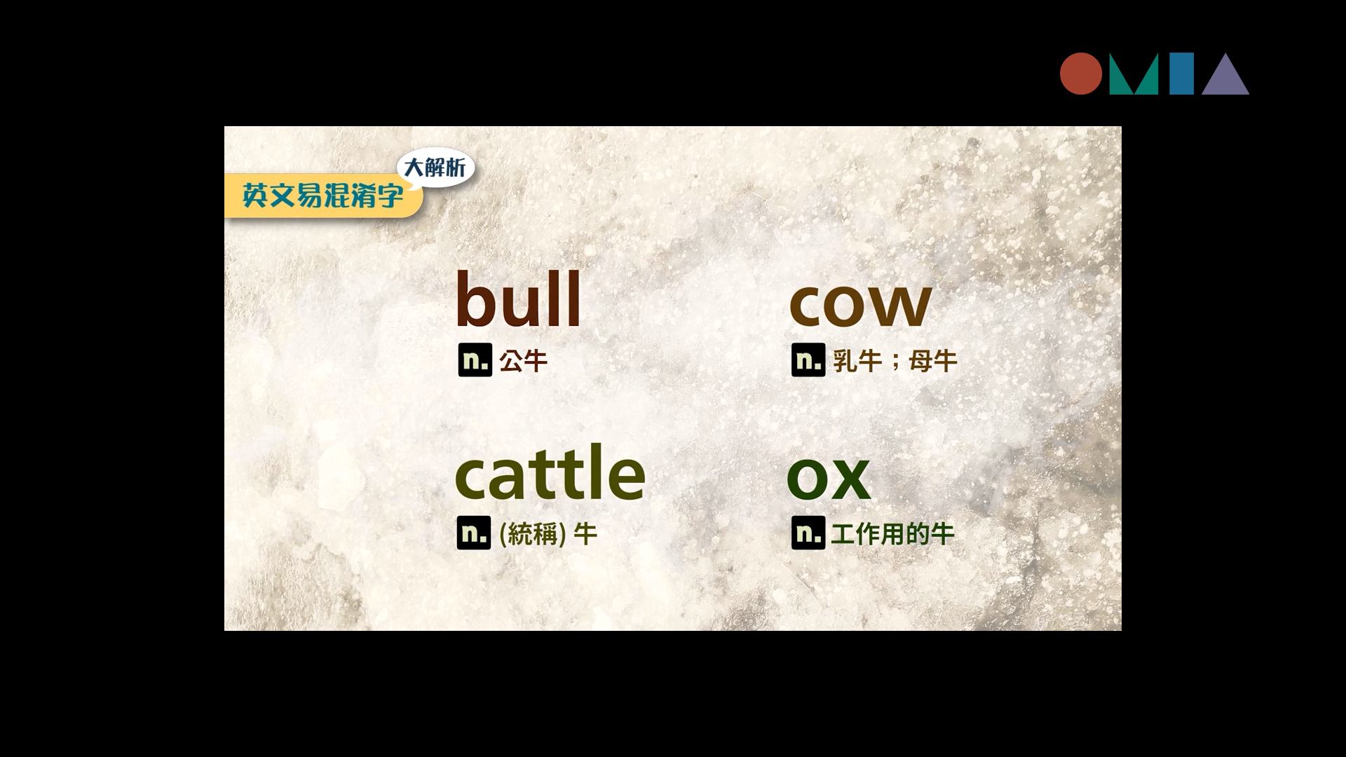 bull, cattle, cow & ox 到底是哪種「牛」 | OMIA學東西 | OMIA