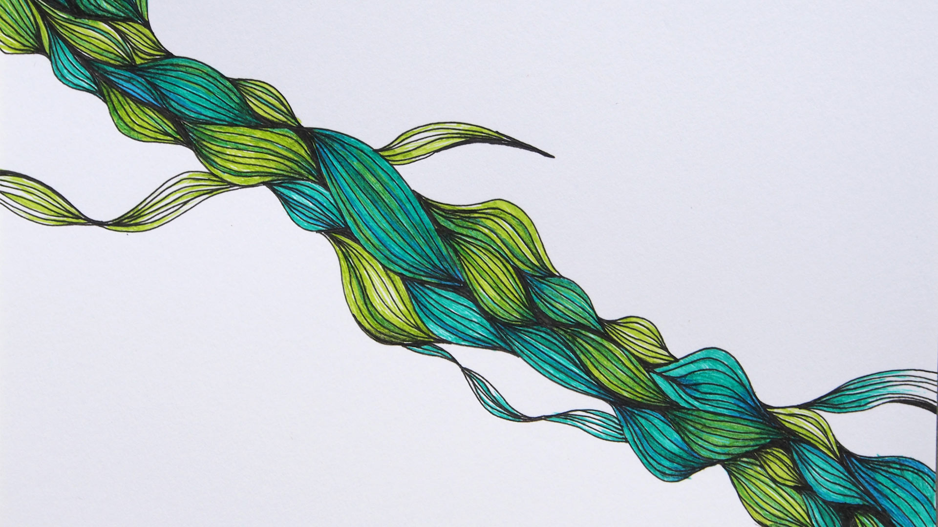 無可救藥愛畫線 | OMIA PLUS 影音學習