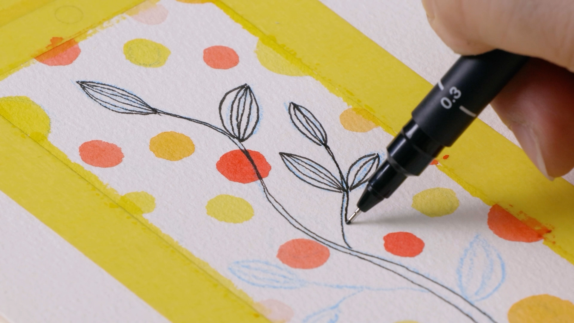 跳躍的圈圈 | OMIA PLUS 影音學習